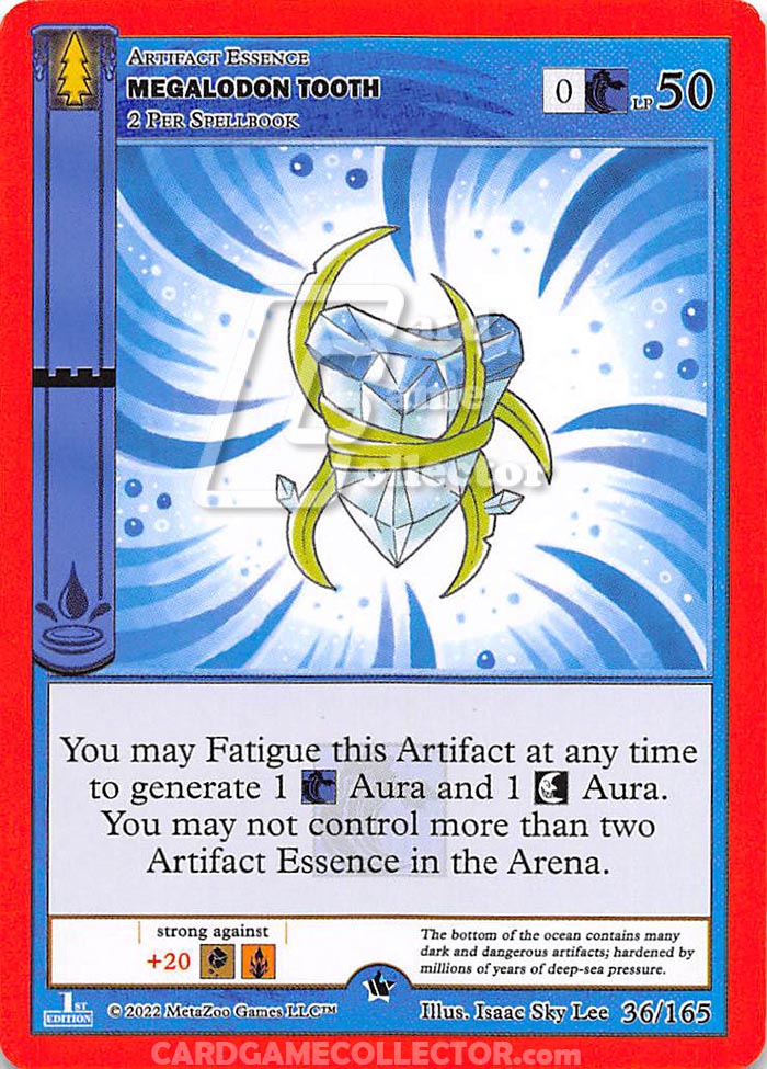 Megalodon Tooth : Metazoo